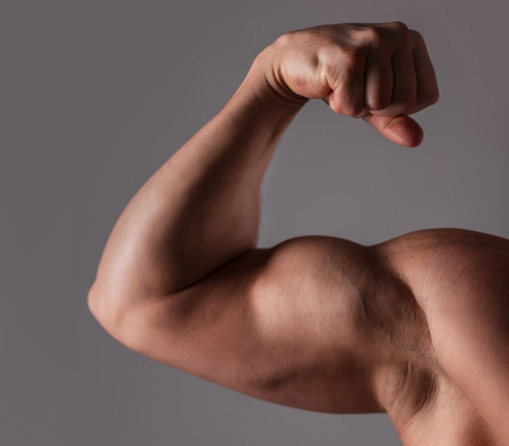 Bras : 4 exercices pour bien les muscler - Plantrifit